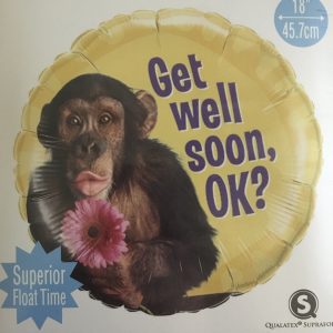 Get Well Soon Monkey - Upstate Balloon Company